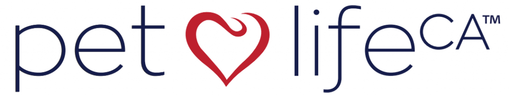 Why Getting Your Pet’s Prescription Filled At A Pharmacy Isn’t An Easy Option In Canada - PetlifeCA