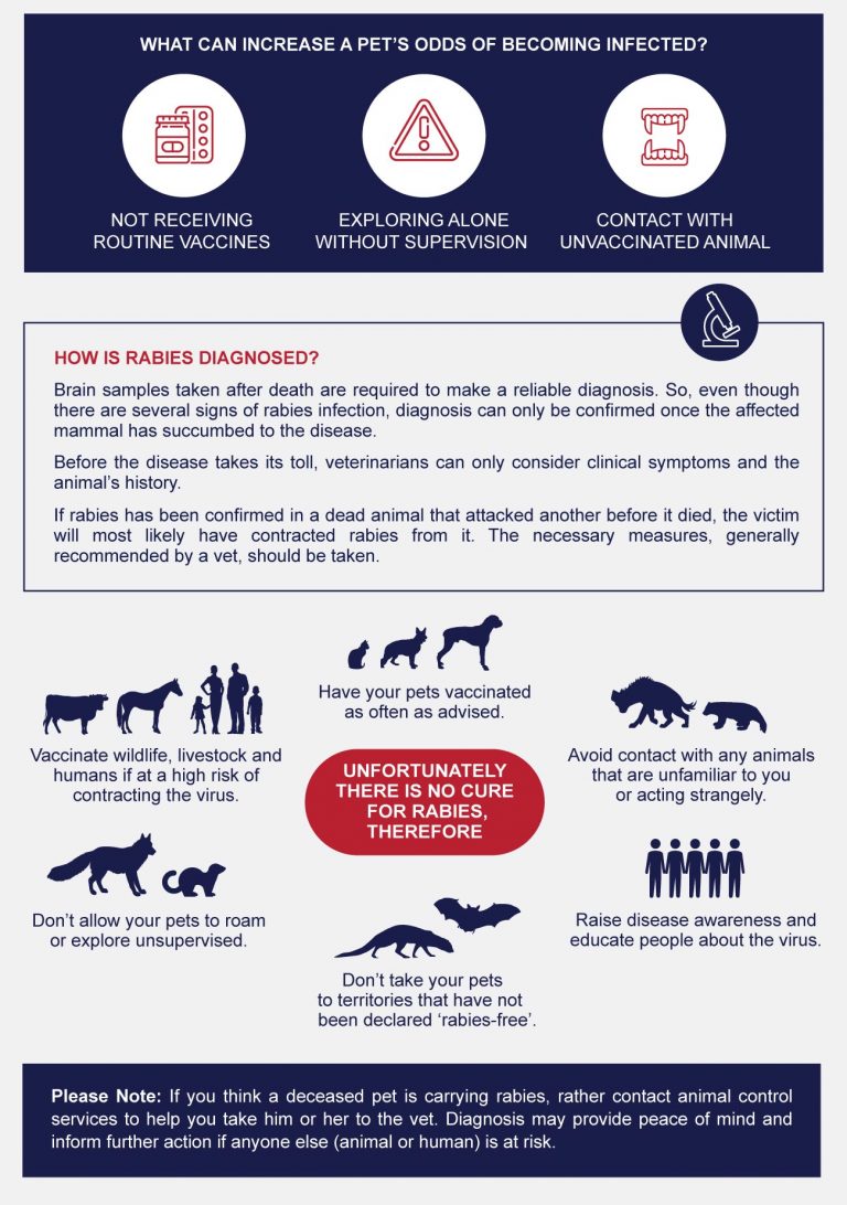 Rabies: Diagnosis, Prevention & The Value Of Vaccination - PetlifeCA