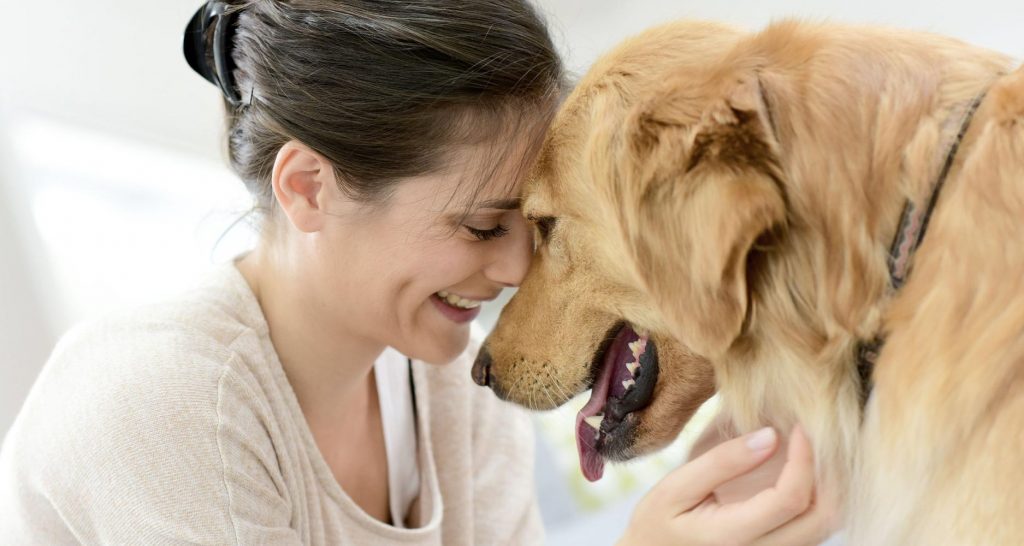 Dogs As Companion Animals In Canada - PetlifeCA