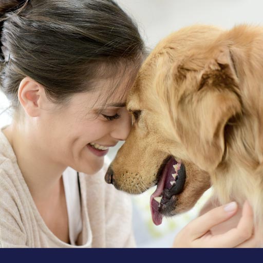 Pet Training & Behaviour - For Your Cat and Dog | PetlifeCA™