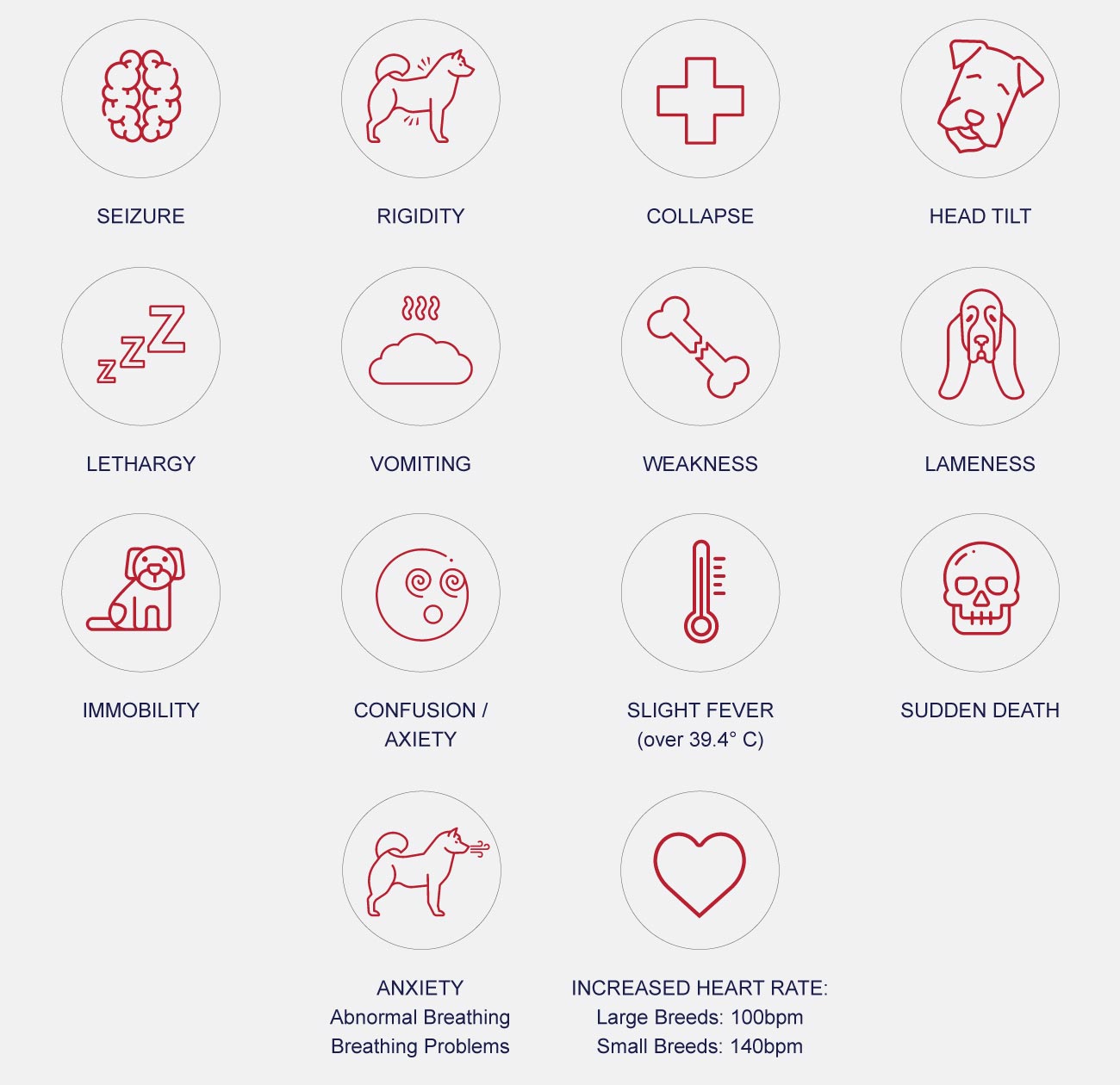 Heart Disease In Dogs - PetlifeCA