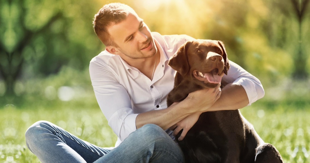 Here’s How To Improve Your Dog’s Well-being - PetlifeCA
