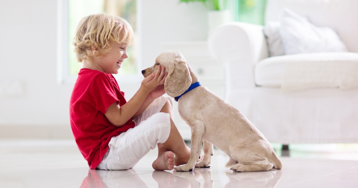 The Importance Of Pets In Our Lives - PetlifeCA