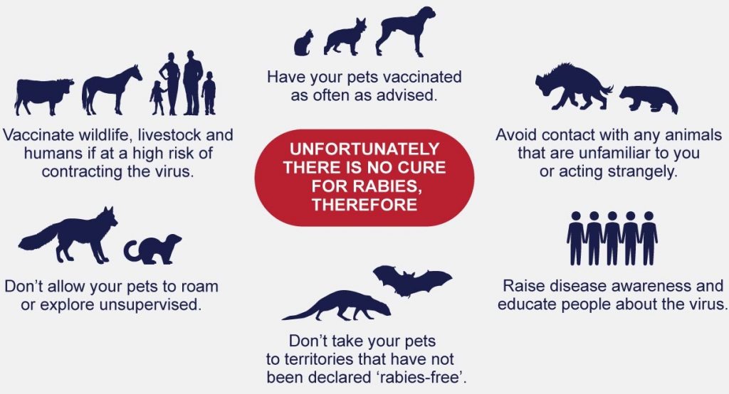 Rabies: Diagnosis, Prevention & The Value Of Vaccination - PetlifeCA
