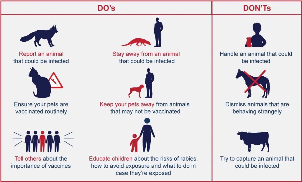 World Rabies Day – Awareness & Prevention Efforts - PetlifeCA