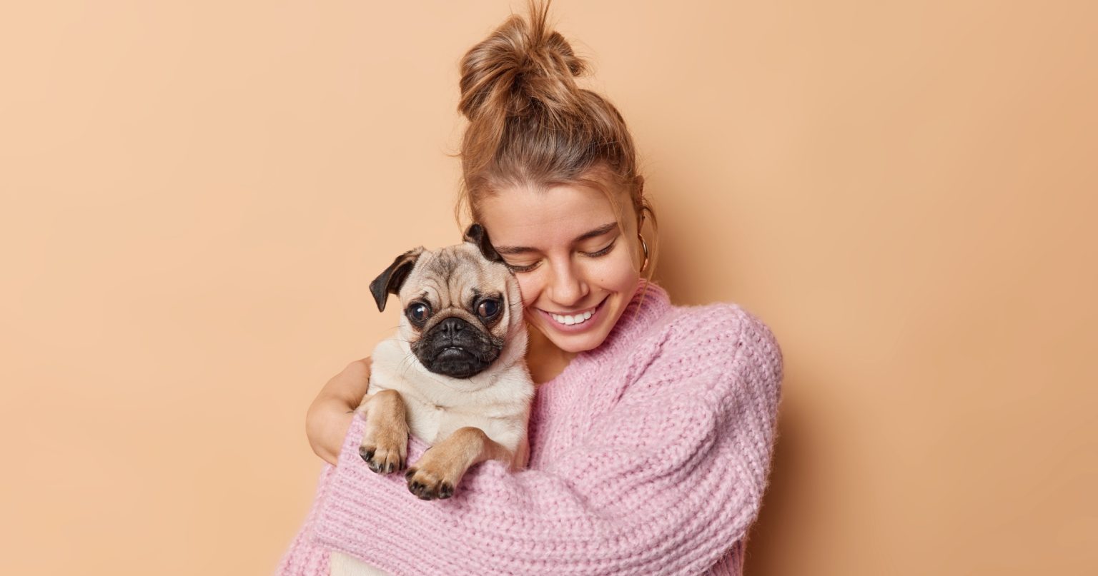 What You Need To Know About Pugs - PetlifeCA