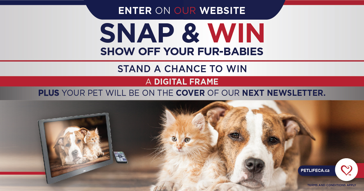 Snap and win Competition - 2024 | PetlifeCA™